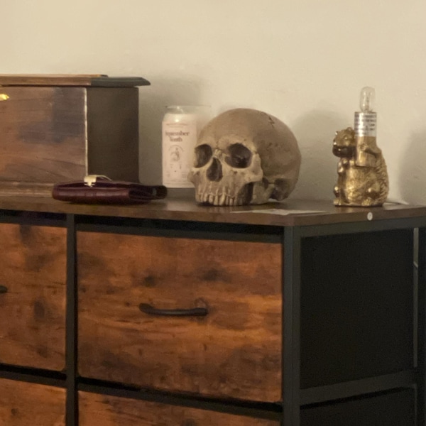 Human Skull Replica, Realistic Full Size Skull Made From Polymerised ...