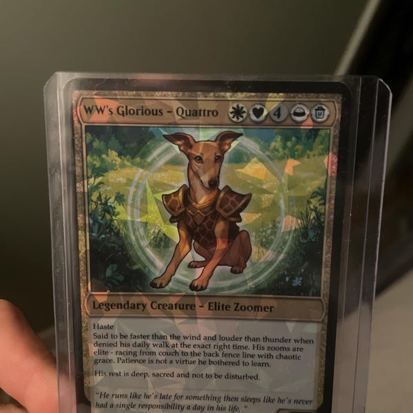 Pokemon Custom Card, Pokemon Graduation Card, Pokemon Holographic Card ...