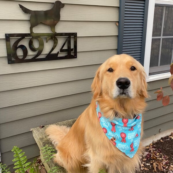 Custom Dog Silhouette Address Sign With Powder Coat | Custom House ...