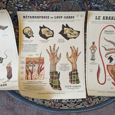 Très Grande Planche Métamorphose de l'Homme-Mouche 80X100 cm ...