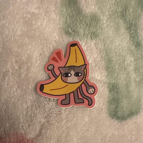 Fruit Cat Stickers | Aesthetic Cute Stickers + Sticker Pack - Etsy