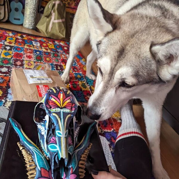 Bug Spray 100% Natural With Yarrow Flowers - Etsy