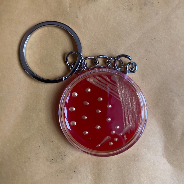 Pseudomonas Centrimide Petri Dish Keychain / Microbiology Agar Art ...