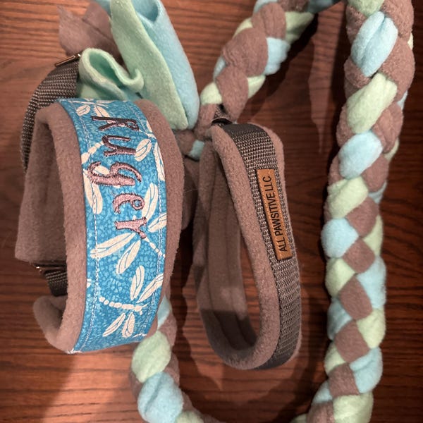 Bold and Bright Ring Lead With Tug Agility Lead-barn Hunt Lead Fyball ...