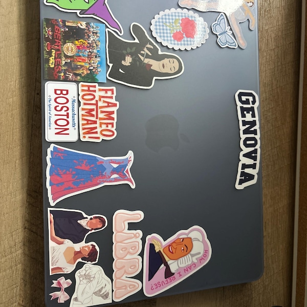 Taylor Swift Lover Era Album Inspired Vinyl Waterproof Stickers - Etsy