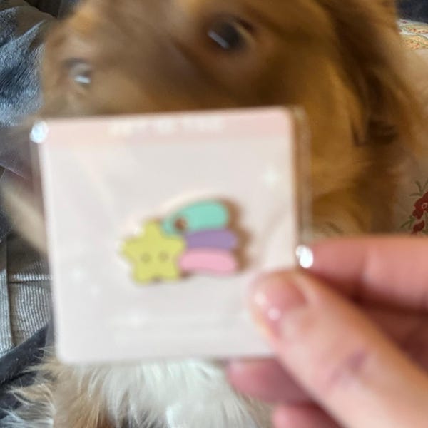 Rainbow Dog Tag - Rainbow Pet Tag - Custom Engraved Pet ID Tag - Cute ...