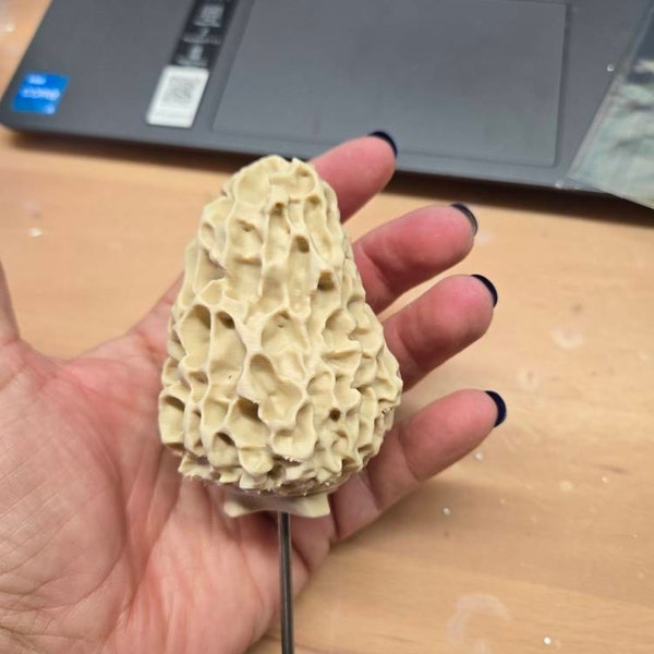 Reflector 3d Printed Geocache With Log - Ready to Be Hidden! - Etsy