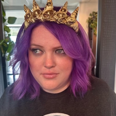 30 Zebra Top Seashells Seashells Australian Seashells Seashell Craft ...