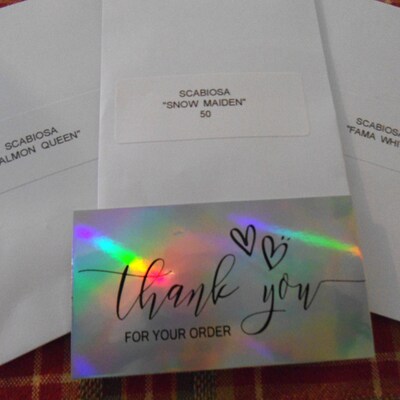 Bachelor's Button Classic Magic 30/pkt - Etsy