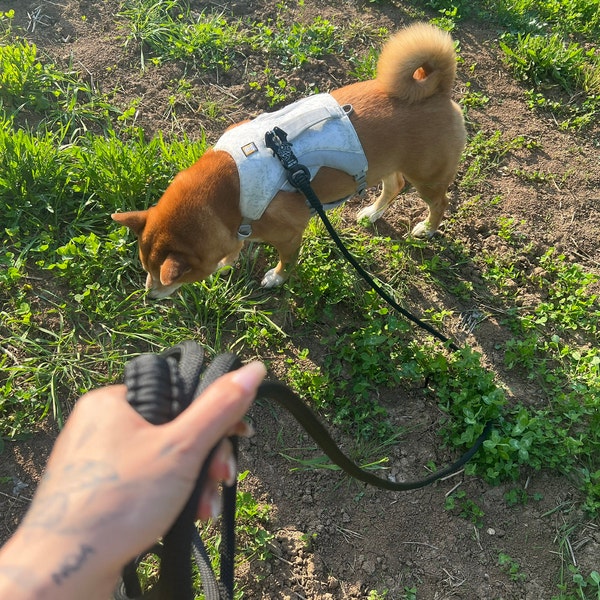 Crossbody Climbing Rope Dog Leash, Hands Free Dog Leash With Custom ...