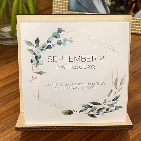 Custom Due Date Baby Countdown Calendar | Pregnancy Gift for Expecting ...
