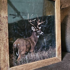 Rustic Deer Poster, Whitetail Deer Wall Art, Gift for Hunter, Midwest ...