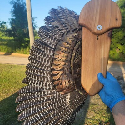 Turkey Plaque-wings and Fan - Etsy