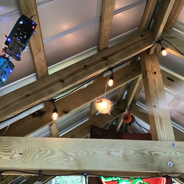 7-10" Hanging Light Puffer Fish Real Blowfish Lamp Taxidermy Animal ...