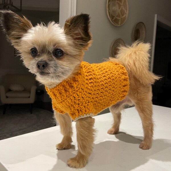 Ledger Sweater CROCHET Pattern - Beginner Friendly Sweater for Dogs in ...