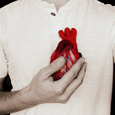 Heartfelt anatomical Heart Human Scale - Etsy