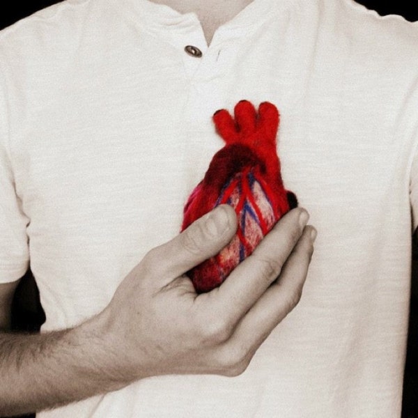 Heartfelt (anatomical Heart - Human Scale) - Etsy