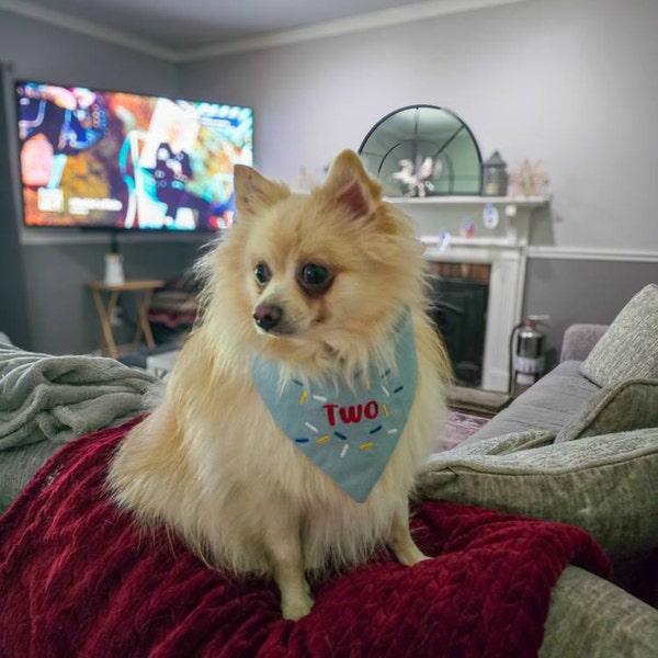 Personalized Dog Bandana Birthday Girl Bandanna for 1st Birthday ...