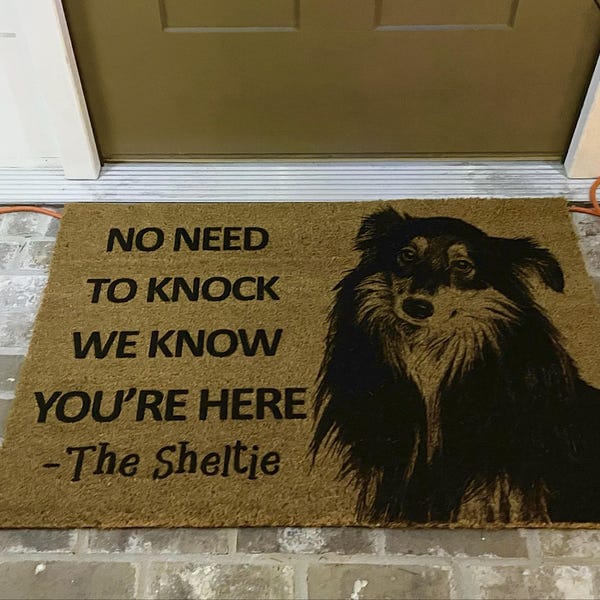 American Bully Door Mat, Funny We Know You ARE Here Door Mats, American ...