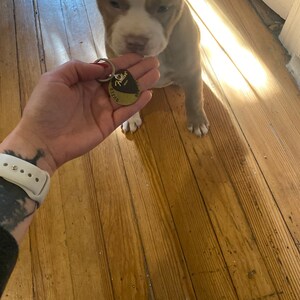 Loki's Ship Pet ID Tag - Etsy