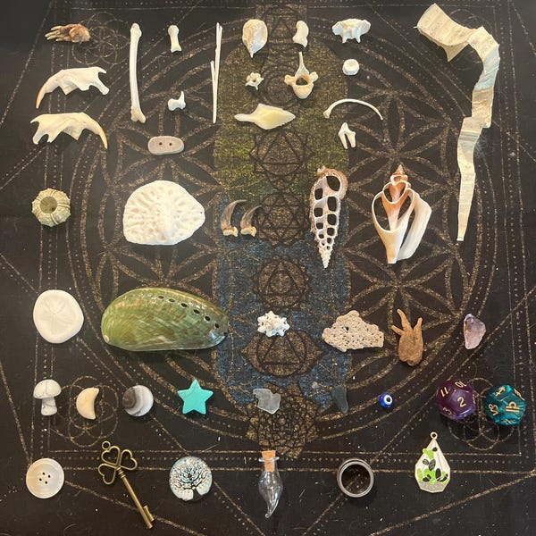 Osteomancy Bone Throwing Set With Over 25 Pieces - Etsy