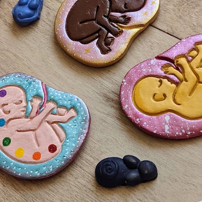 20-week Fetal Development Cookie Cutter Bakerlogy Medicine Pregnancy ...