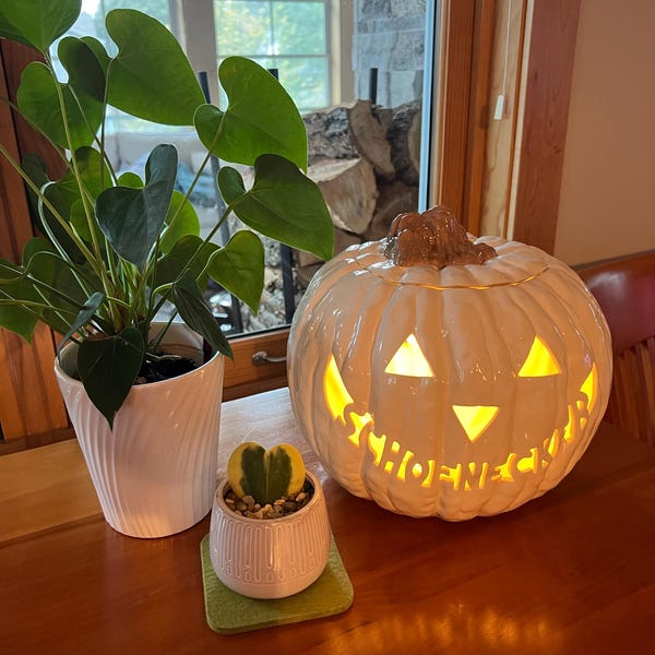 SMALL Ceramic Tree LIGHTS Plastic Tree Lights Multicolored Ceramic Tree ...