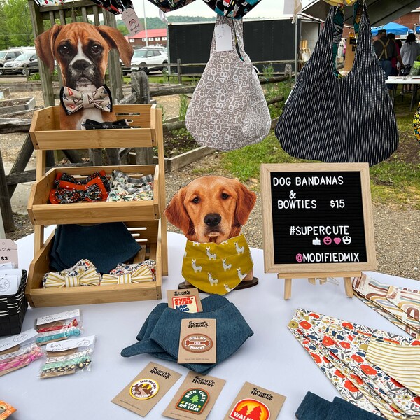 Boxer, Boxer Display, Boxer Head Display, Dog Collar Display,dog ...