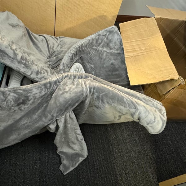 Custom Costume and Head - Custom Mascot Head and Full Mascot + Message ...
