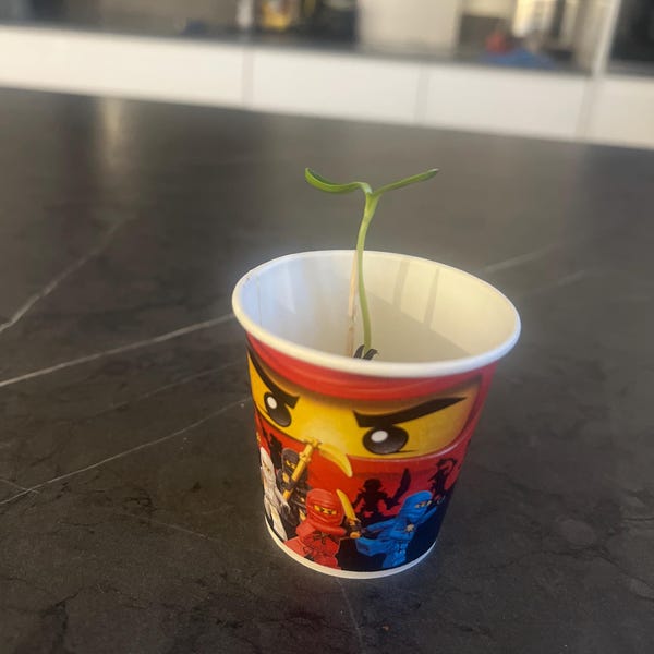 Hen Party Favours Willy Hen Party Favours, Funny, Cheeky, Rude Party ...