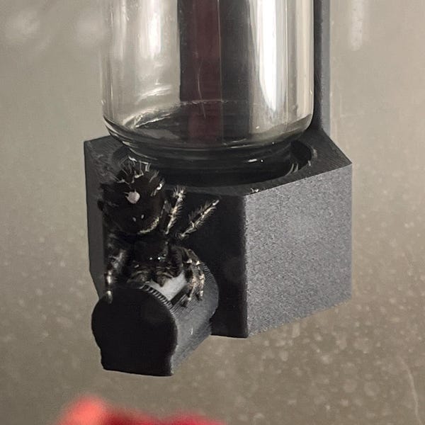 Wicking Water Feeder Trough for Small Pets Insects, Spiders, Tarantulas ...
