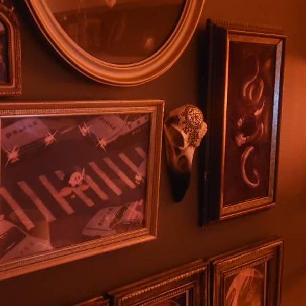 Winged Raven Skull, Afterlife Totem of the Elysian Corvid, Wall Mounted ...