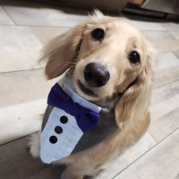 Dog Tuxedo Sewing Pattern DIY, Dog Tuxedo Sewing Pattern, PDF Sewing ...