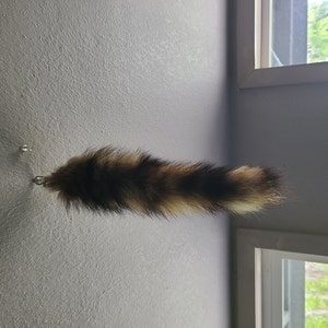 Coyote Pelt Fur Mantle With Black Deerskin - Etsy