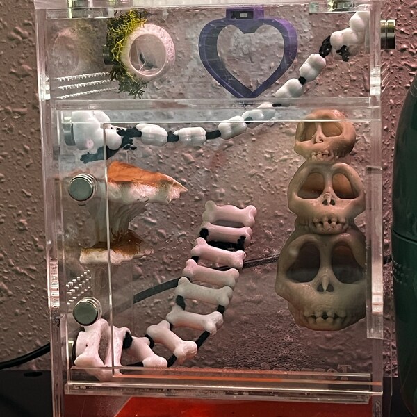 3D Printed Magnetic Pile of Skulls Jumping Spider Hide - Etsy