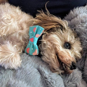 Keychain, Key Fob, Llama Keychain, Llama Key Fob, Animal Key Fob ...