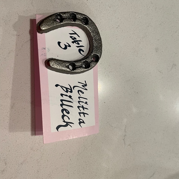 100 Small Cast Iron Horseshoe Cast Iron Metal Horseshoes Good Luck ...