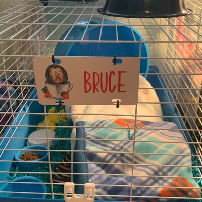 Personalized Hedgehog Name Plate / Hedgehog Sign / Cage Accessory ...