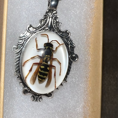 Real Yellow Wasp Specimen on Scroll Shield Silver Colored Frame Bezel ...