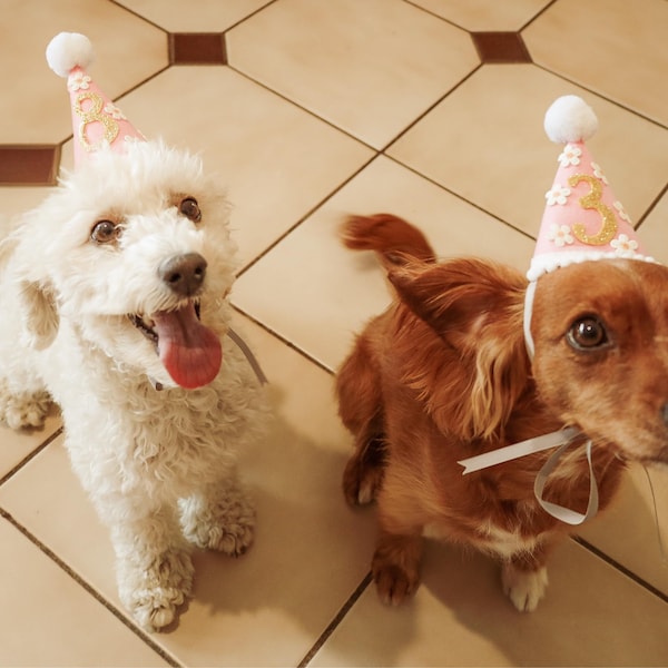 Dog Birthday Party Hat With Daisies | Cat Party Hat With Age With ...