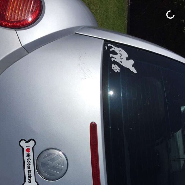 Papillon Silhouette Vinyl Sticker Car Decal Personalized - Etsy