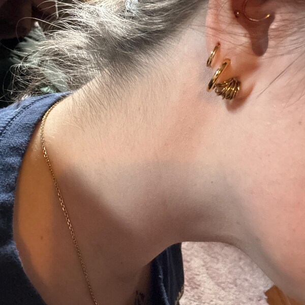 6 Steel Pinchers 0g 2g 4g 6g 8g 10g Horseshoes Talons Tapers Crescents ...