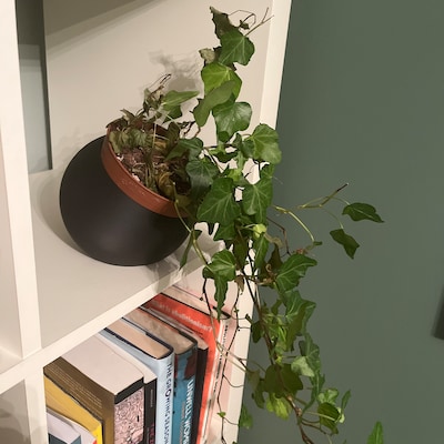Pastel Coloured Rounded Cube Pot Planter Pot With Feet - Etsy