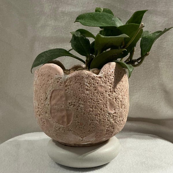 Concrete Minimalist Planter, Slanted Pot, Table Centerpiece ...