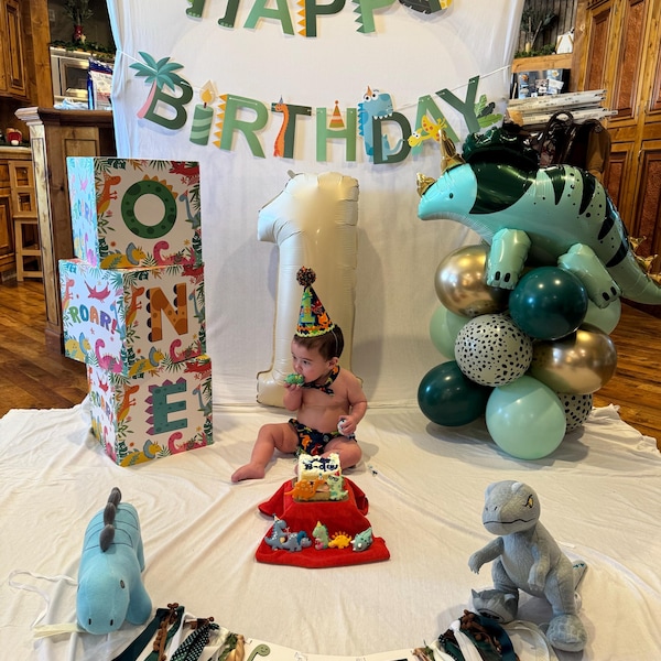 Dinosaur Cake Smash Outfit, Dinosaur First Birthday Outfit, Diaper ...