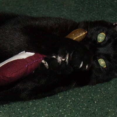 Three Candy-coated Popcorn Cat Toys Filled With Organic Catnip - Etsy