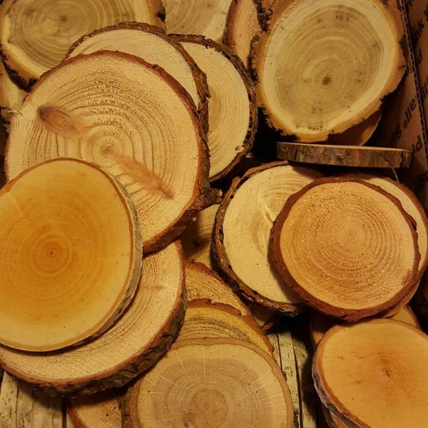 Maple...50 Piece 2 3 Rustic Tree Branch Slices for Crafts & Weddings ...
