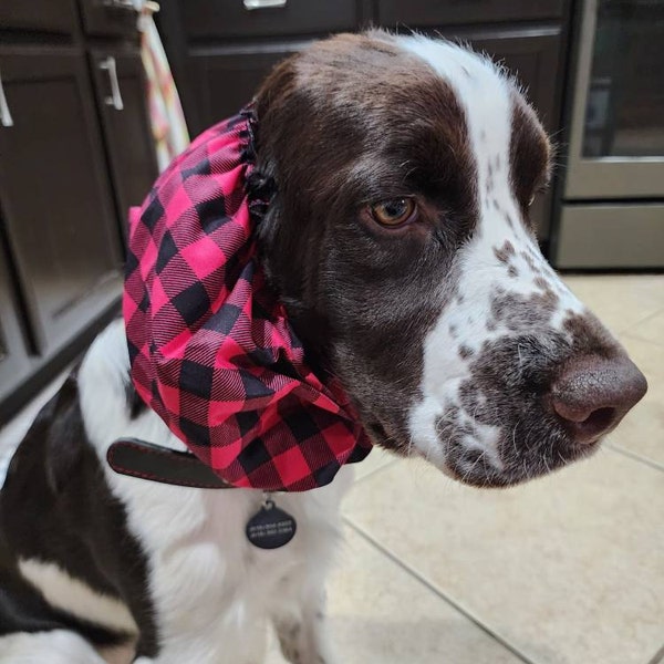Dog Snood Leopard Cheetah Fabric, Cavalier King Charles Spaniel Protect ...