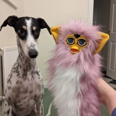 Custom Long Furby - Etsy