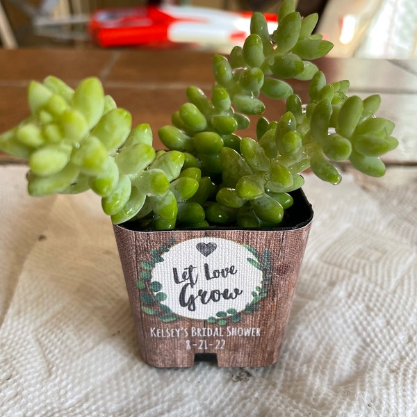 Custom 2" Succulent Wraps, White Shiplap With Wreath, Perfect to ...